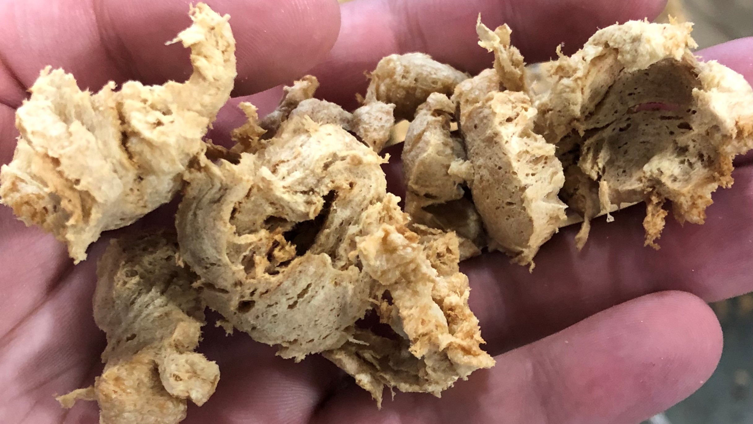 Texturized Soy Protein from High-Shear Dry Extrusion Promotes High ...