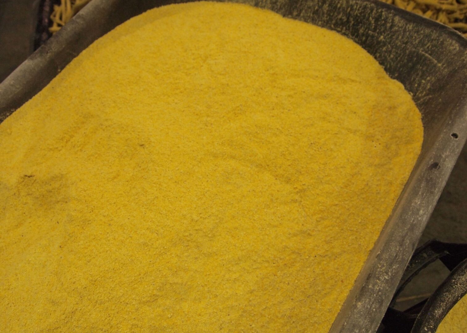 Corn Soy Blend and the Power of High-Shear Processing - Insta-Pro
