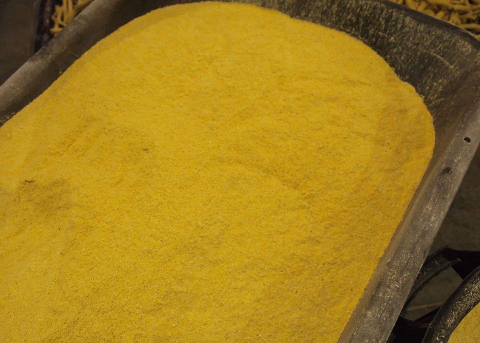 Corn Soy Blend and the Power of High-Shear Processing - Insta-Pro